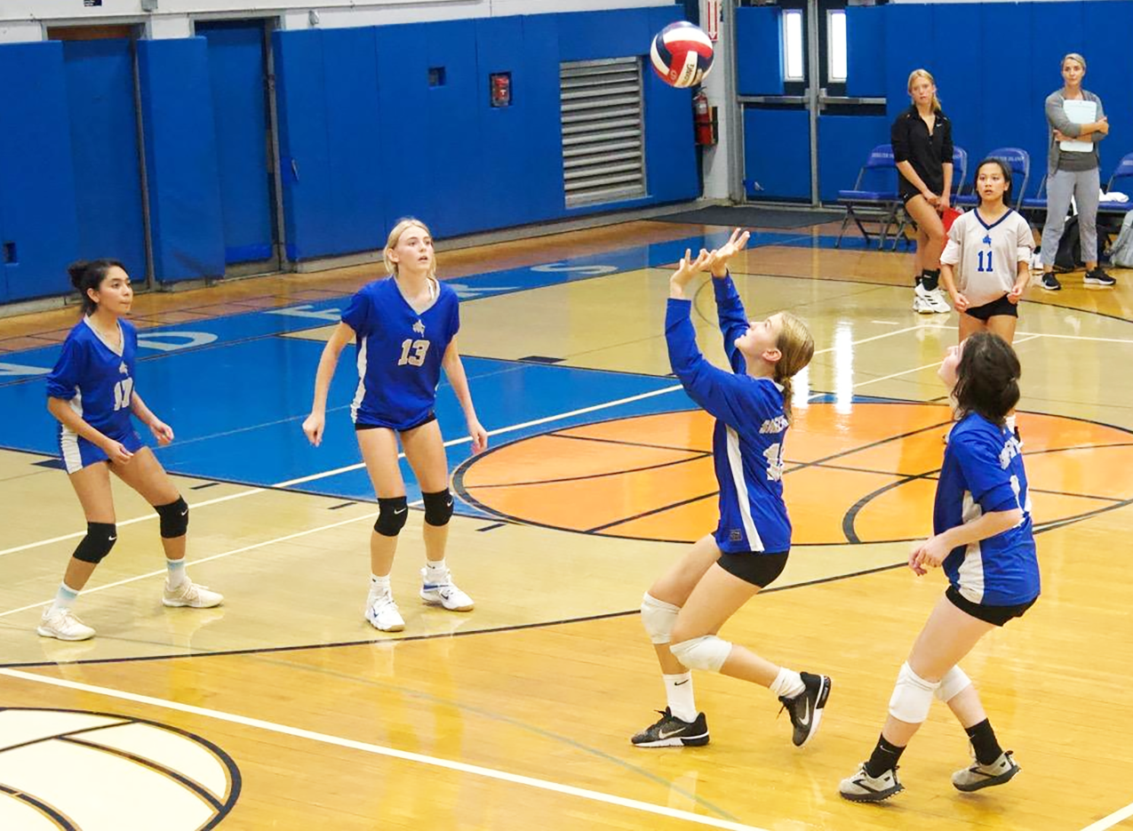 Victory is sweet for volleyball squads: Notch wins in league play ...