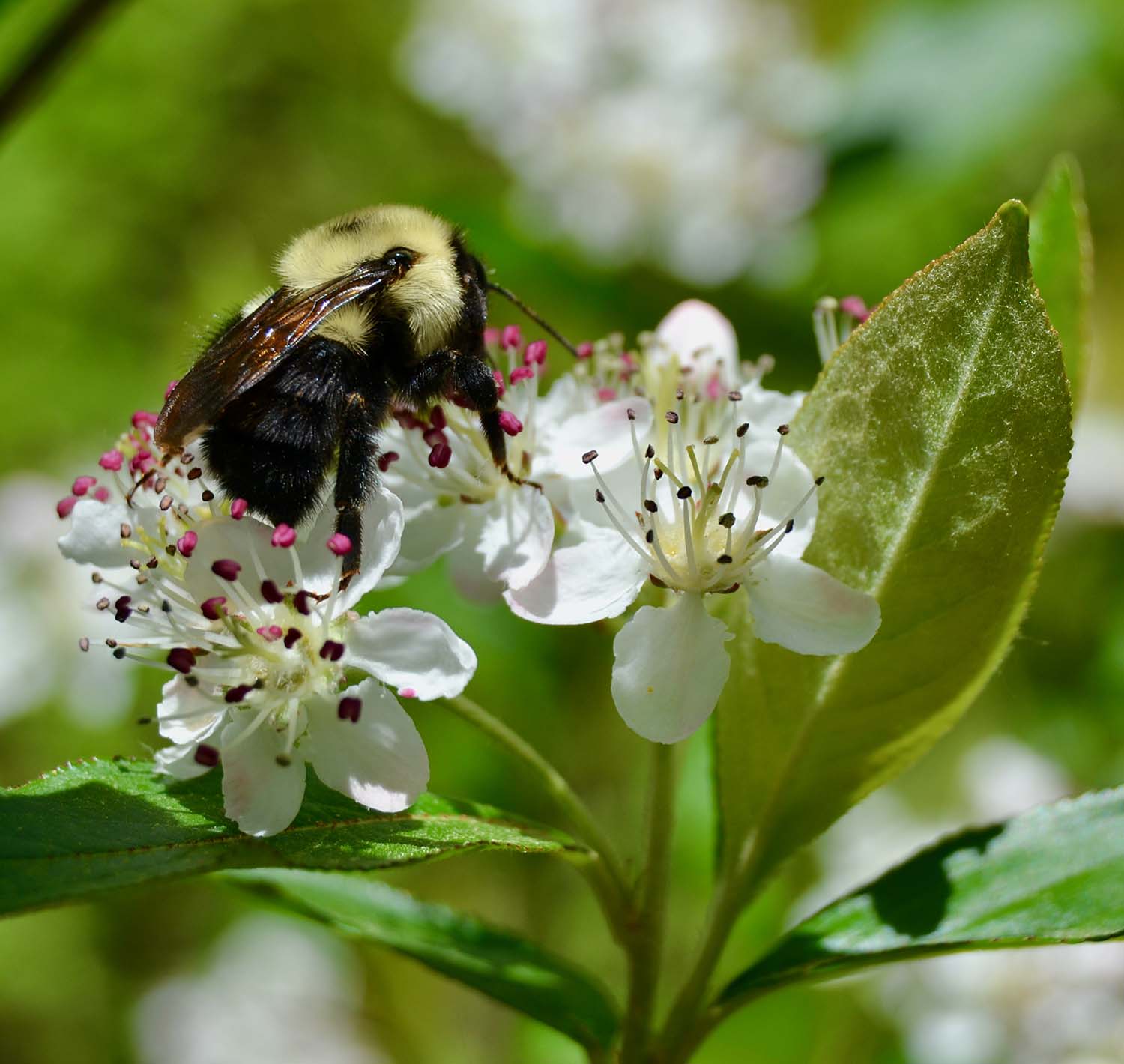 Training with Trent: Stay hydrated and watch the pollen - Shelter ...