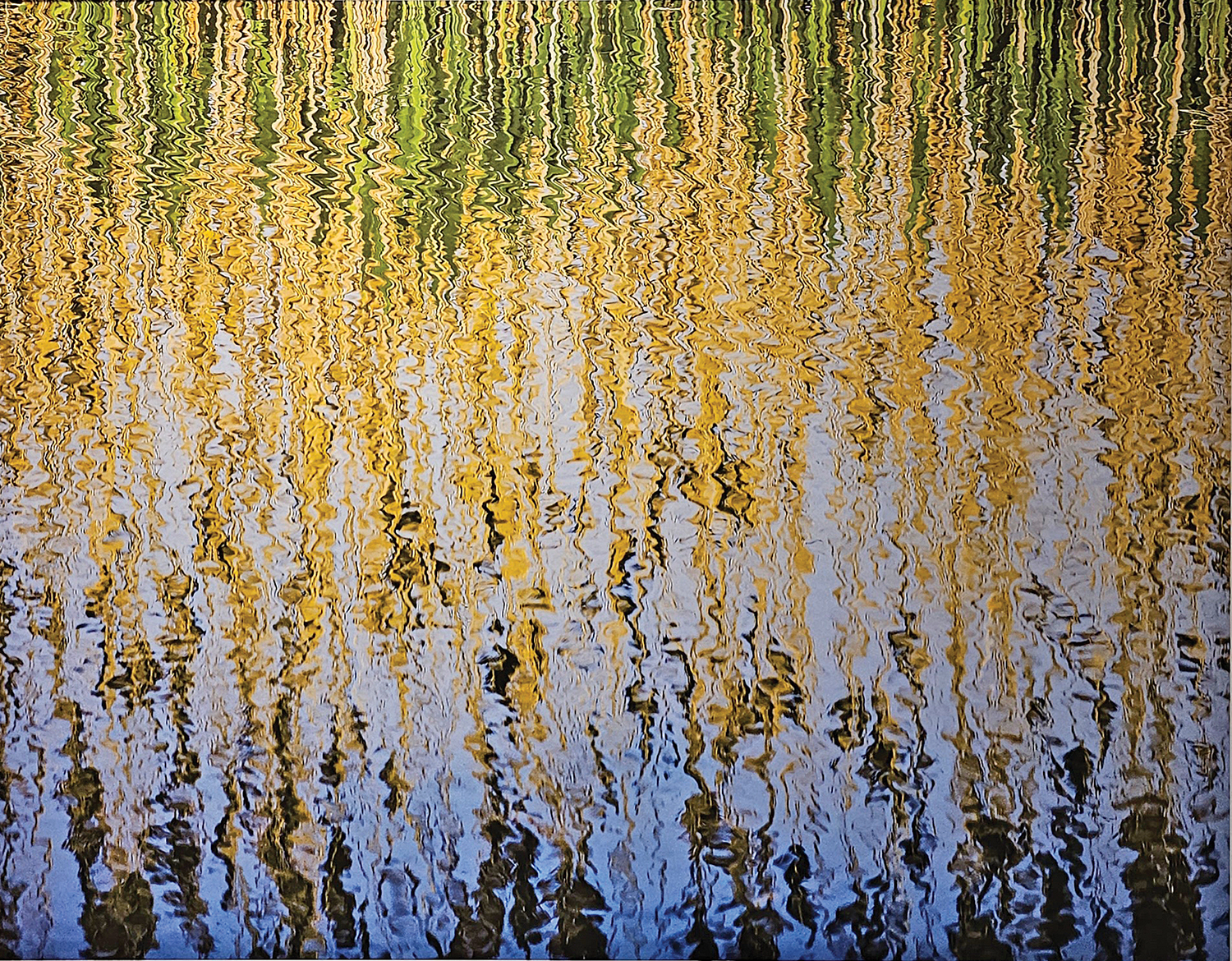 Shelter Island photographer Adam Bundy's show is on through the fall ...