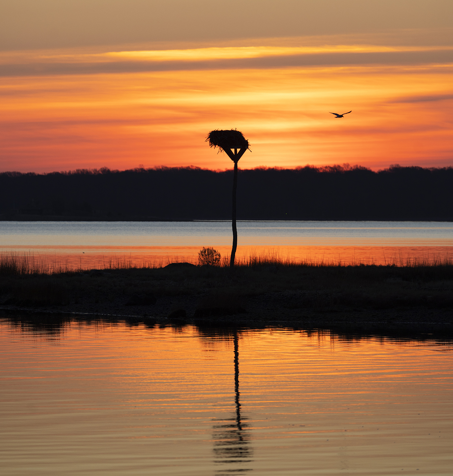 Weather Service: Bright and sunny all day for Shelter Island - Shelter ...