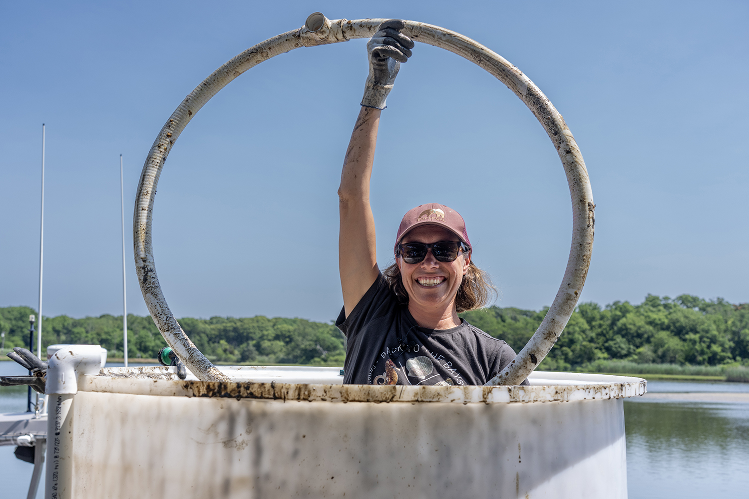 Wait: It’s not a bad year for scallops — Island seeding program proves ...
