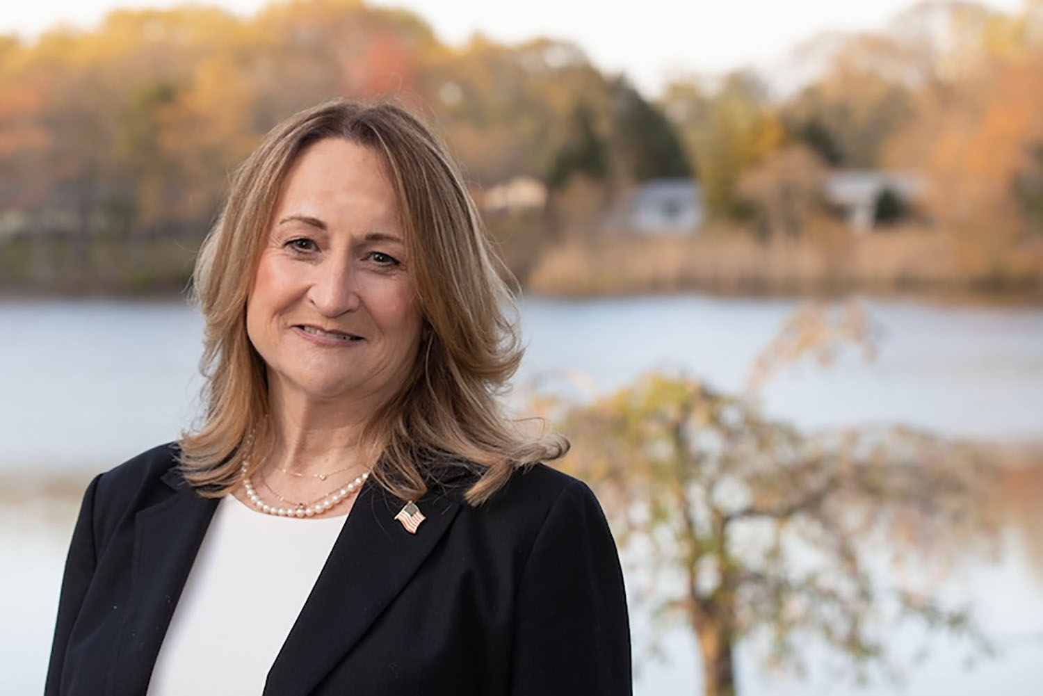 Catherine Stark, elected to the Suffolk County Legislature, arrested ...