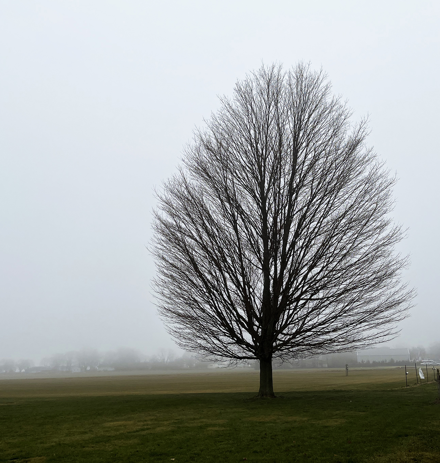 Weather Service: Rainy, mild Sunday for Shelter Island - Shelter Island ...