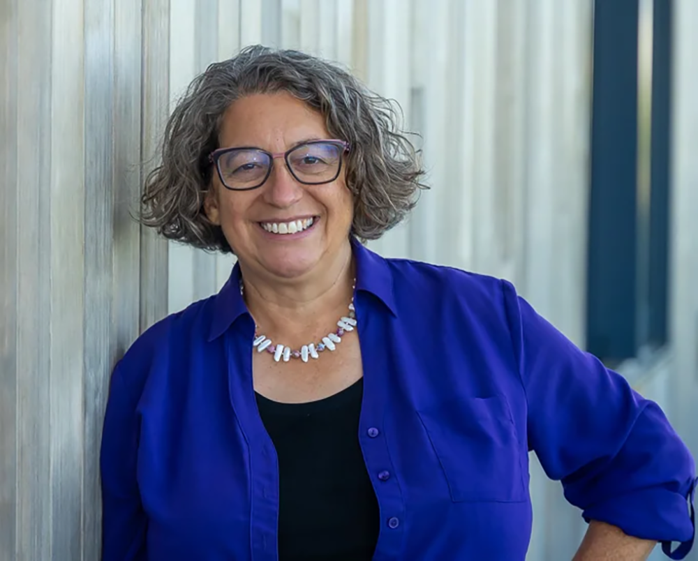 Area politicians announce bids for U.S. Congress, NY State Assembly and ...