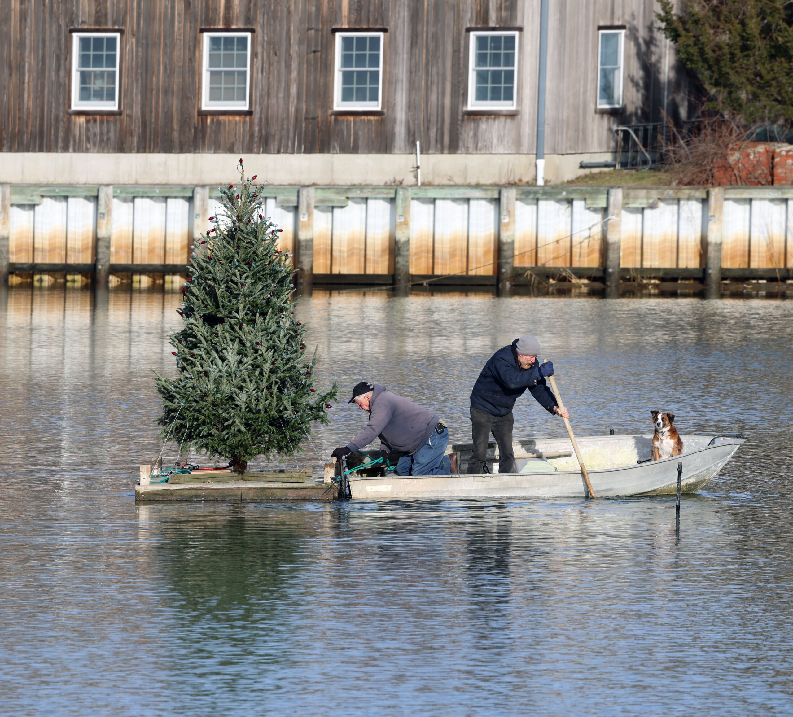 O Christmas tree! Chase Creek lighting celebrates 42 years - Shelter ...