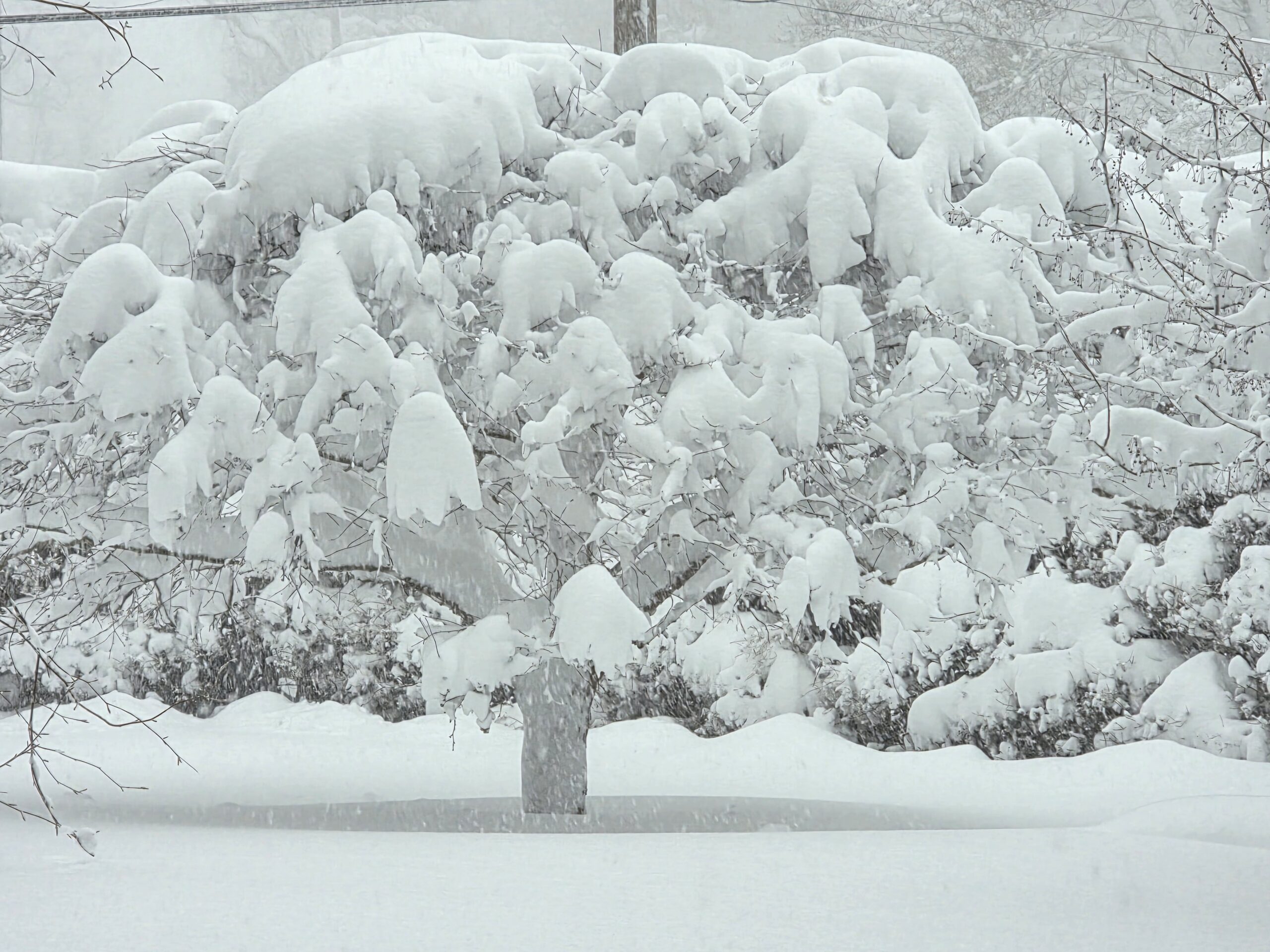 Storm update: Reports on blizzard's impact - Shelter Island Reporter