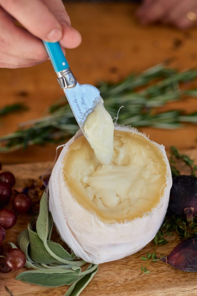 Curd Appeal: King Andrew Cheese makes your dairy dreams come true on ...