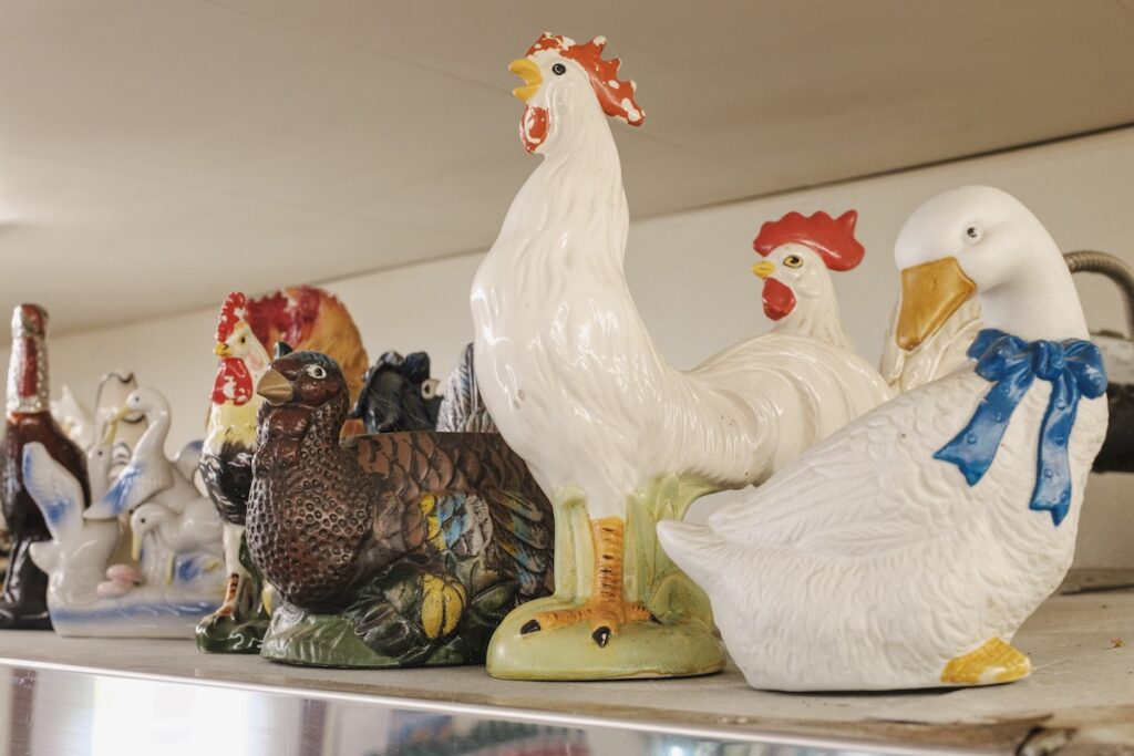 Home on the (Free) Range: A multi-generational farming family raises ...