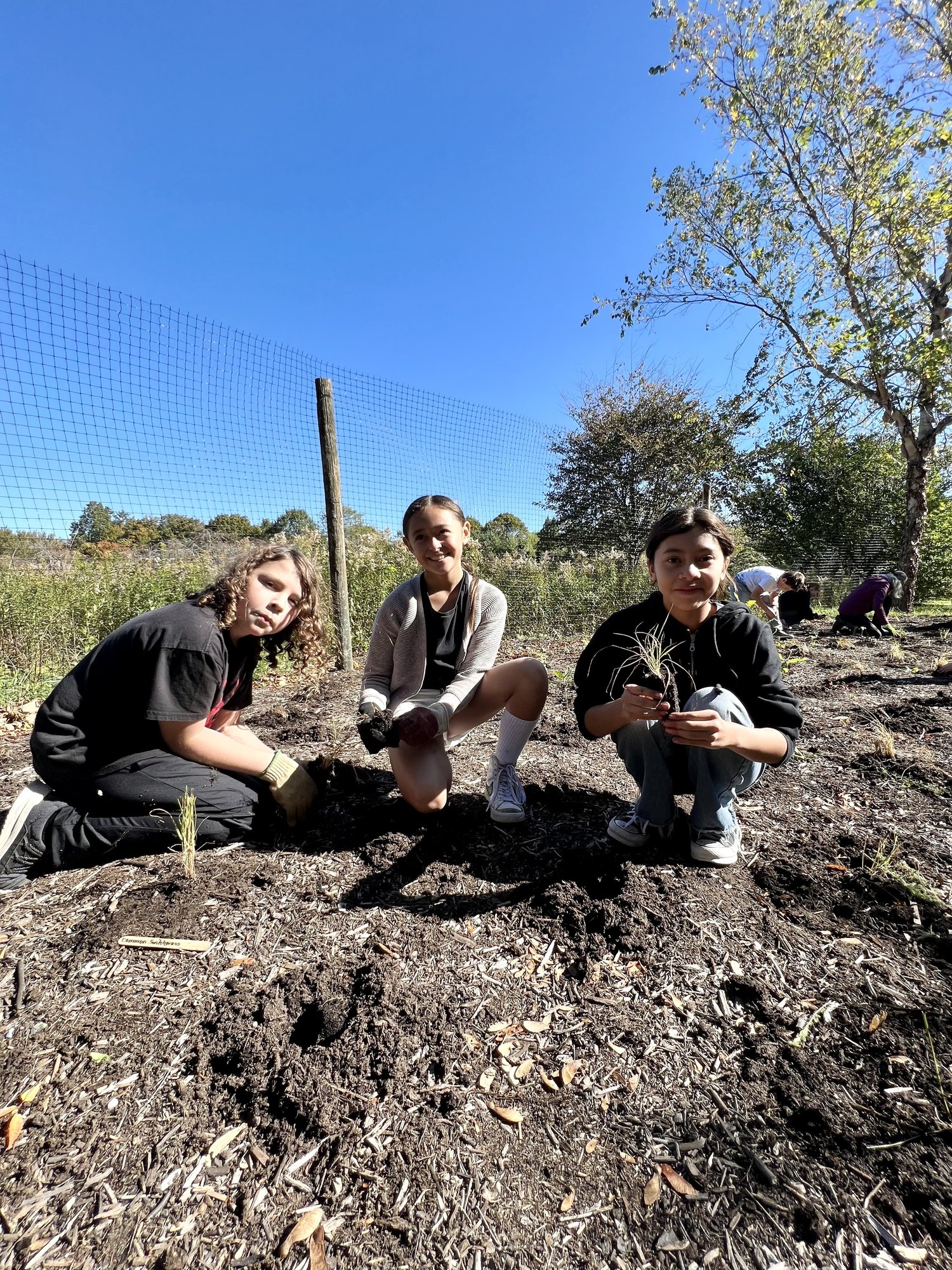 Custer Preserve Garden Cleanup - Northforker