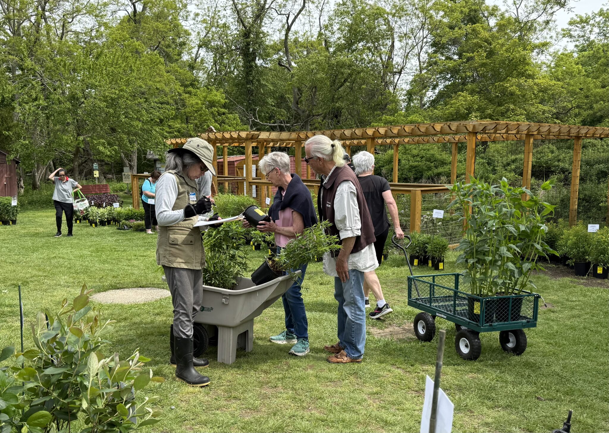 Native plants galore at the North Fork Audubon Society's sale this weekend