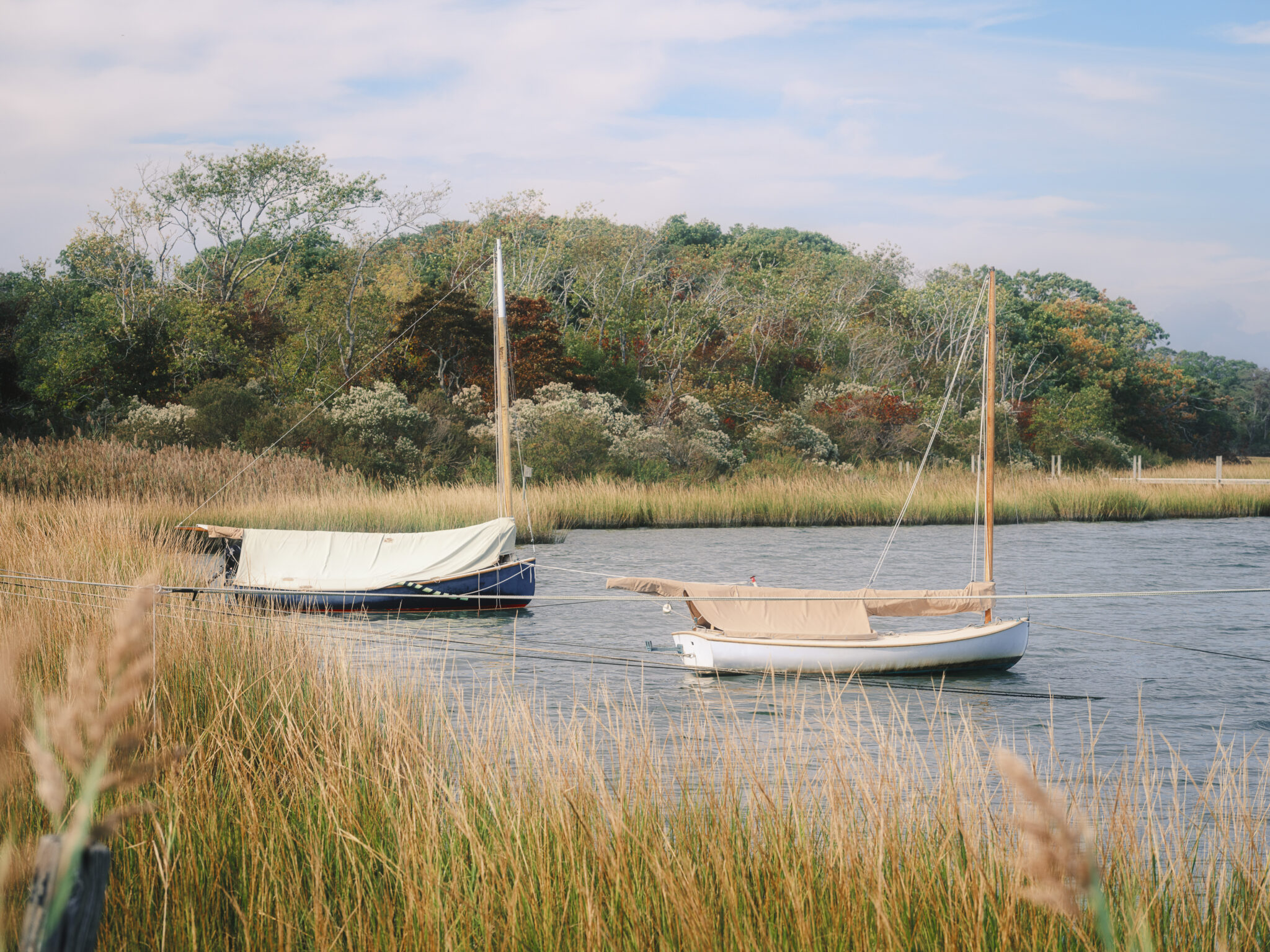 Pedal to the Meadow: 3 local bike routes to try out this fall