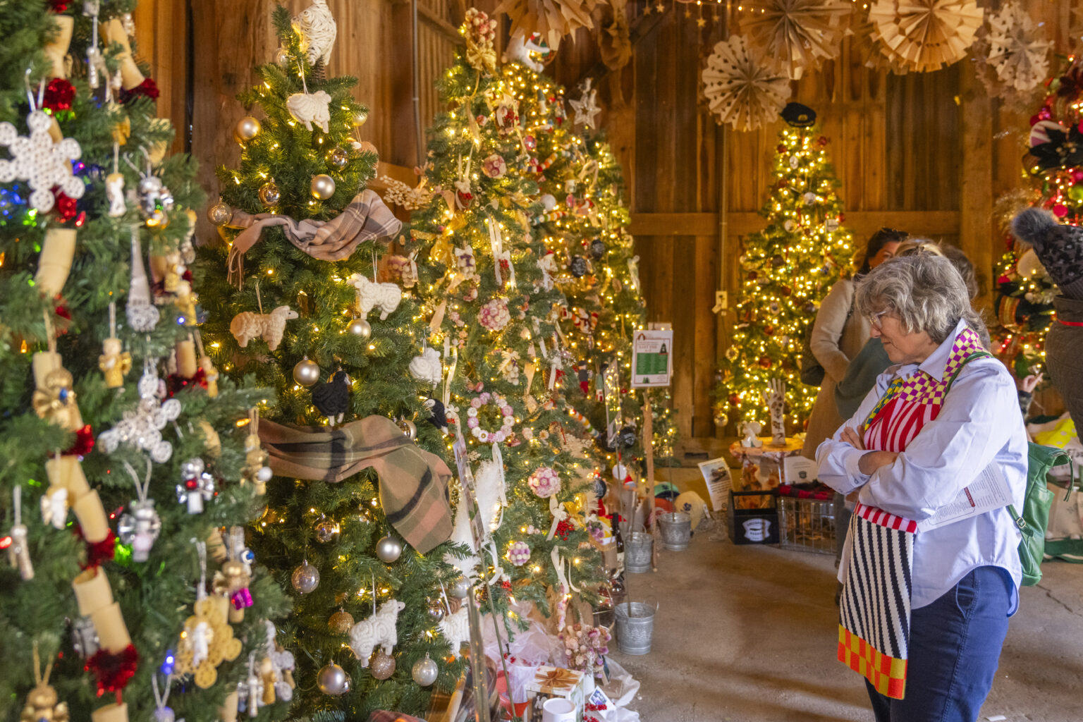 The Giving Trees: To put on CAST’s annual Festival of Trees, it takes a ...