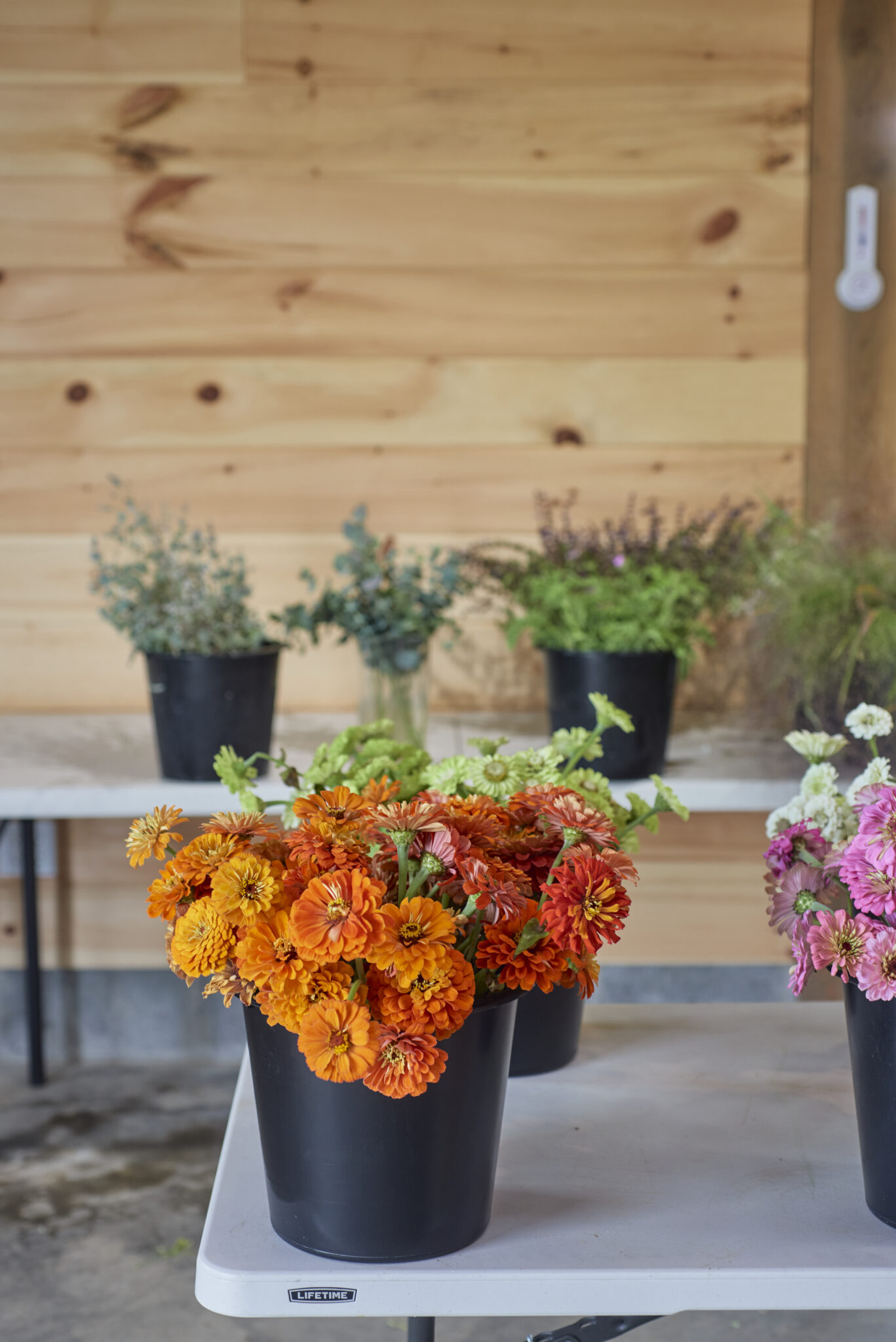 Sustainable Beauty: North Fork Flower Farm’s dried florals keep ...
