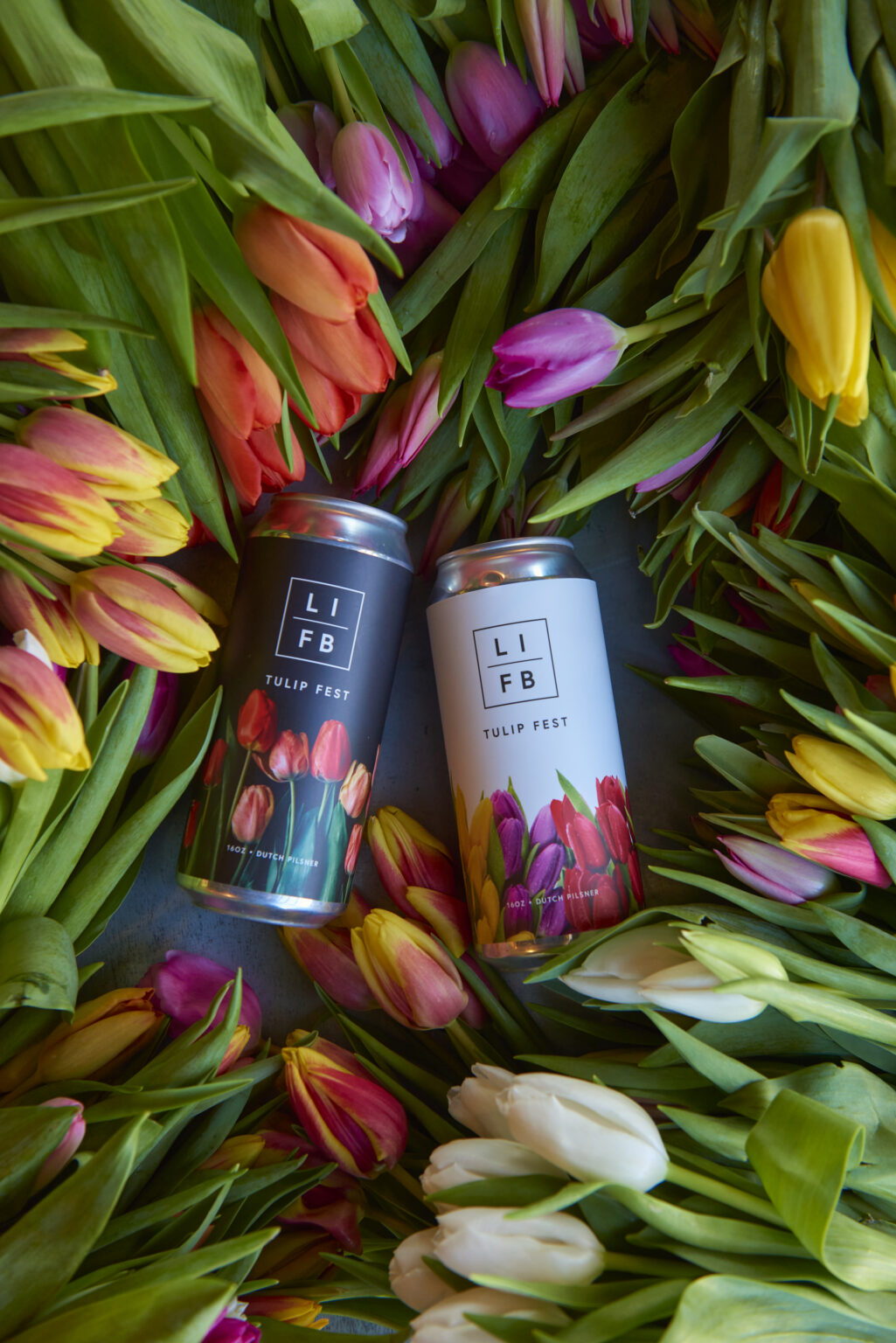 Fields of Floral Dreams: The Long Island Tulip Festival Transports ...